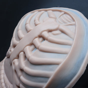 Stargate Goa'uld Mark – Meduusat Studio